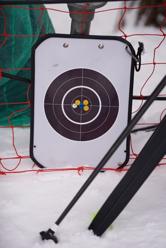 Biathlon shooting boards. Shooting boards of the IBU Biathlon… | by ...
