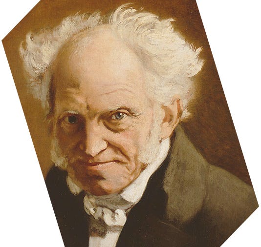 Problema de Schopenhauer. Pobre Arthur Schopenhauer (1788–1860)… | by ...