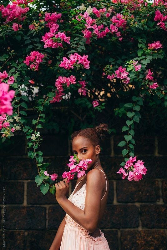 Beyond Red Roses. By Eniola Ola X Charles Dominic | by Eniola Ola | Medium