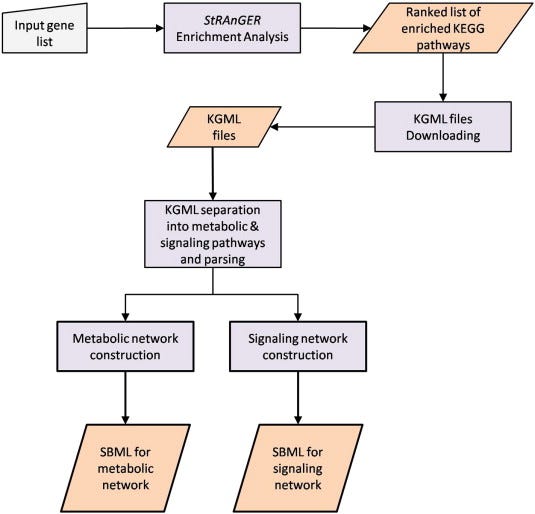 KENeV: A web-application for the automated reconstruction and ...