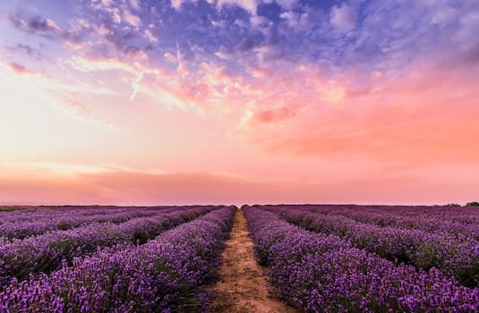 Implementing Microservices Resilience Patterns with Spring Cloud | by ...