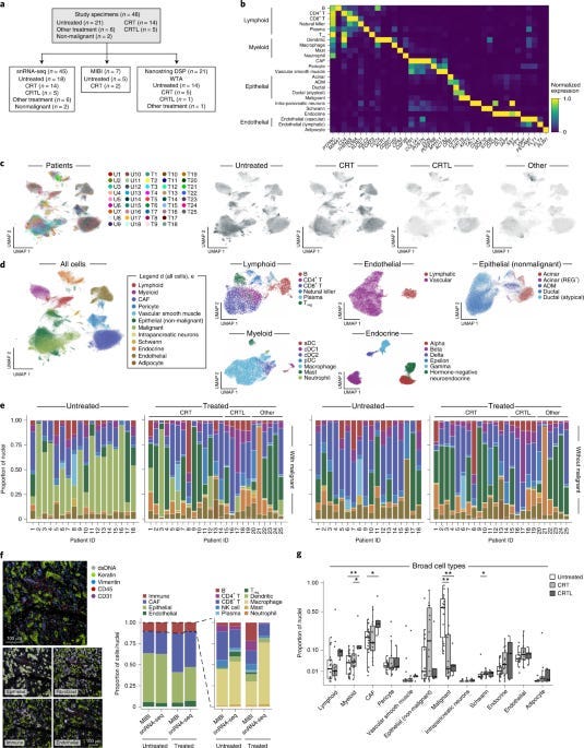 Single Nucleus And Spatial Transcriptome Profiling Of Pancreatic Cancer Identifies Multicellular