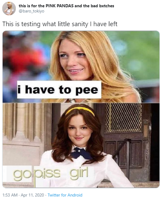 What Girl Meme