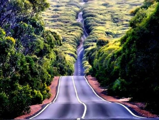 The untouched realities along the road less travelled | by Akshita Dixit | Medium