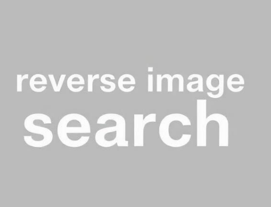 A mandatory tool to perform reverse image search | by loyalonlytoday ...