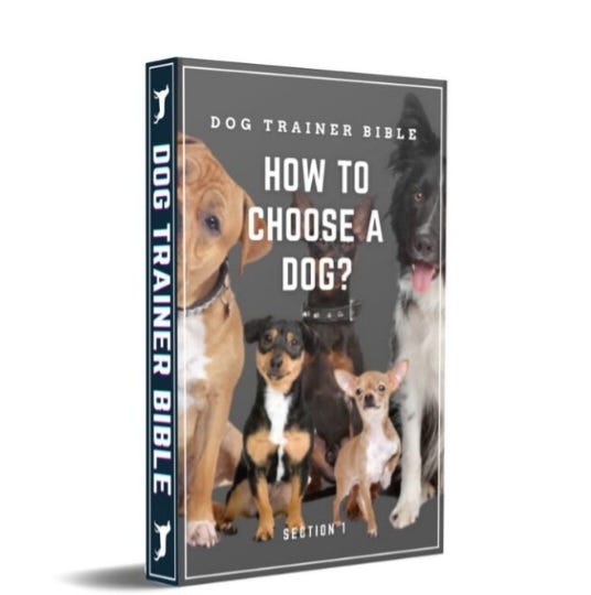 Dog Trainer Bible | by Eugene Quartey | Jul, 2024 | Medium
