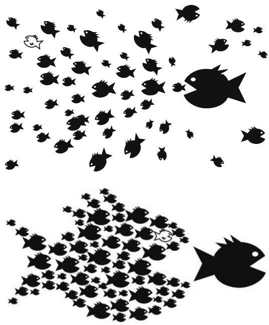 The Importance of Leadership For Collective Action | by Maggie Eaton ...