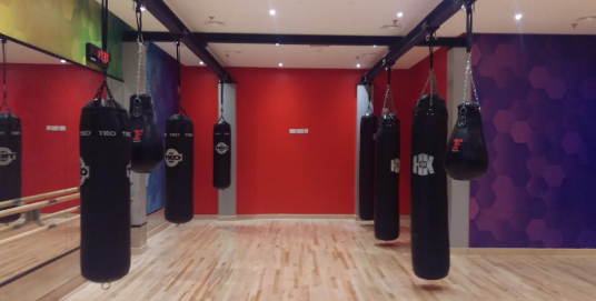 4 Things you should know about Professional Gym Equipment | by Liftdex ...