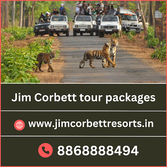 Explore the Wilderness with Jim Corbett Tour Packages | by Jim Corbett ...