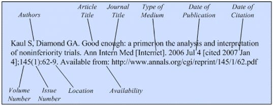 How to Cite an Article from a Website | by Atry | Jun, 2024 | Medium