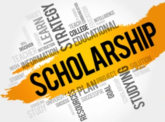 How to apply for an Overseas Graduate Scholarship | by Martina ...