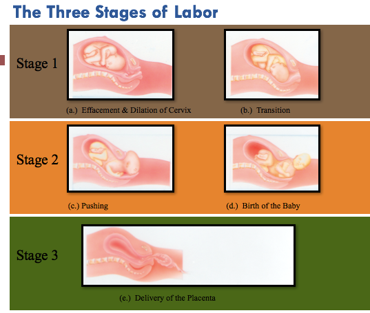 Delivery. SIGNS OF LABOR | by Michaelah Johnson | My Parenting Toolkit ...