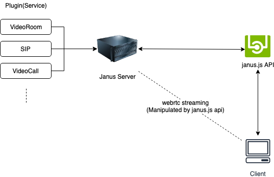 Part 2 —Intro to JavaScript API. 設置好Janus-gateway media… | by Louis ...