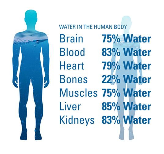 Beware of Dehydration and Consider The Importance of Water in The Body ...