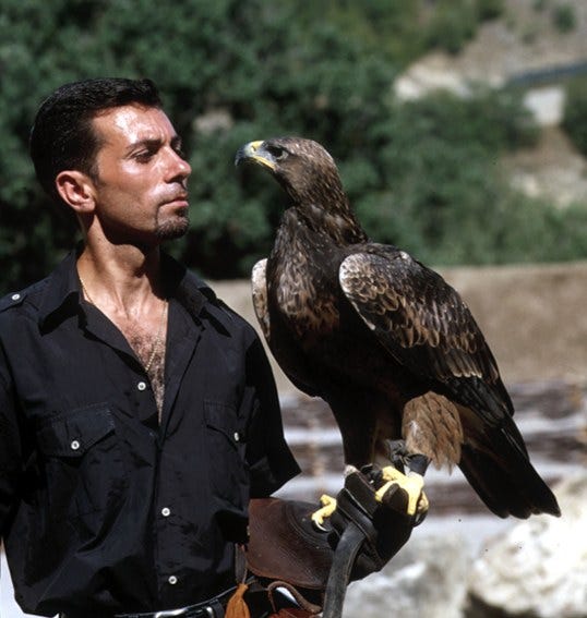 .. Un falco mantiene la presa sulla preda… | by Demichelis Domenico ...