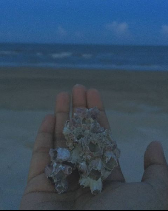 raa saathi, the oceans - Deena Dakshini - Medium