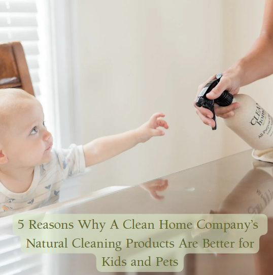5 Reasons Why A Clean Home Company’s Natural Cleaning Products Are ...