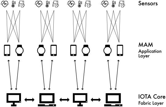 Authenticating Health Activity Data Using Distributed Ledger Technologies | by CSBJ | Medium