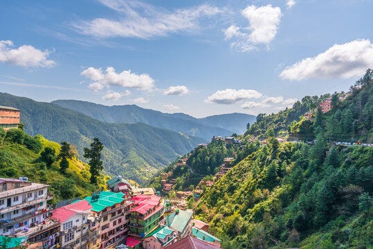 Local Farmers in Shimla Embrace Innovative Hydroponic Cultivation | by ...