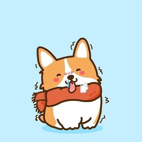 Хачико нохойны гайхалтай түүх🐶. Магадгүй хүн төрөлхтөн үүссэн цагаас ...
