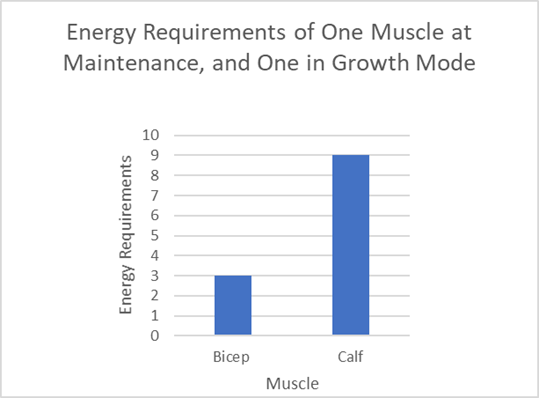 Maintaining for Better Gains. How making use of muscle maintenance ...