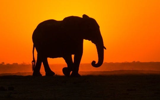 Getting Started With Postgres: Three Free and Easy Ways | by Denis Magda | Medium