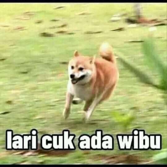 “LARI ADA WIBU!!!” SEBUAH KONSTRUKSI SOSIAL DI MASYARAKAT BAGI PARA ...
