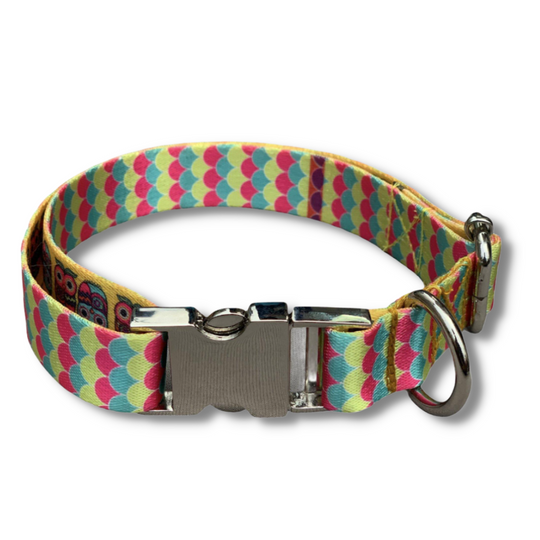 PRINTED COLLAR FOR DOG- FINS. The perfect collar is for your dog who ...