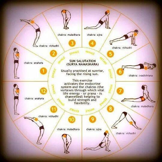 Vinyasa Yoga Poses Chart