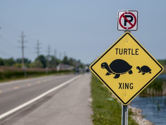Rush slowly. Why you haven’t got all the time in the… | by Adam Blicher ...