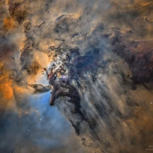 Isigaba sokuqala sempilo yenkanyezi -Ukuzwalwa kwenkanyezi. | by Dkt ...