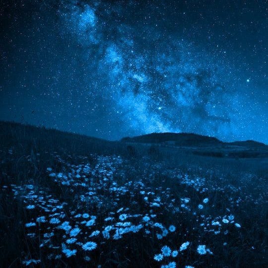 to sleep. The reason I cannot fall asleep is not… | by Kiki | Medium