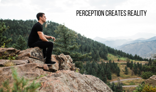 Perception vs. Reality. “When perception creates reality, it is… | by ...
