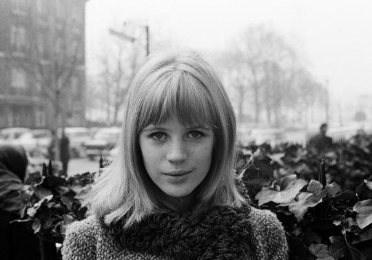 Marianne and Metallica. On An Unlikely Collaboration | by Michael ...