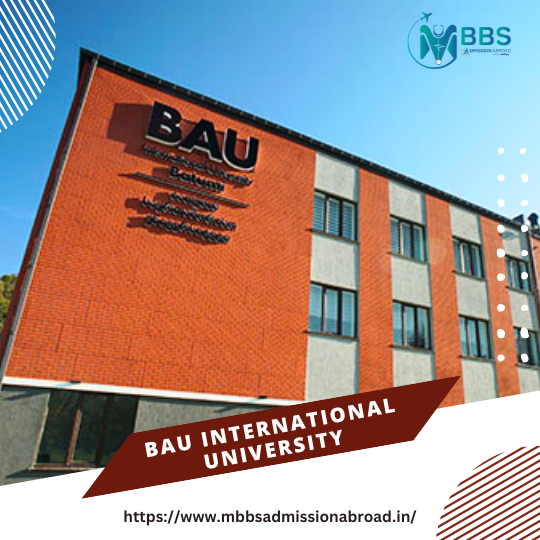 Bau International UniversityExploring the Benefits of Pursuing a Degree ...