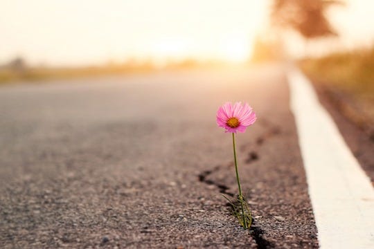 Enjoy Being in the Process of Becoming | by Arya Patel | Medium