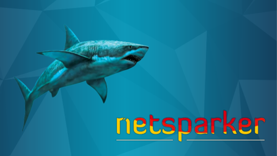 Netsparker: web application security scanner | by Career Technology Cyber Security India Pvt ...