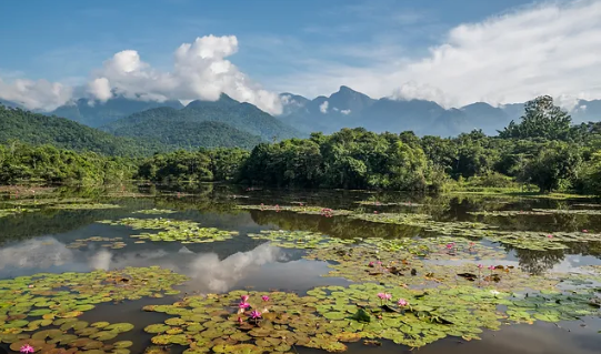What are the benefits of nature reserves | by Health Fitness Everyday ...
