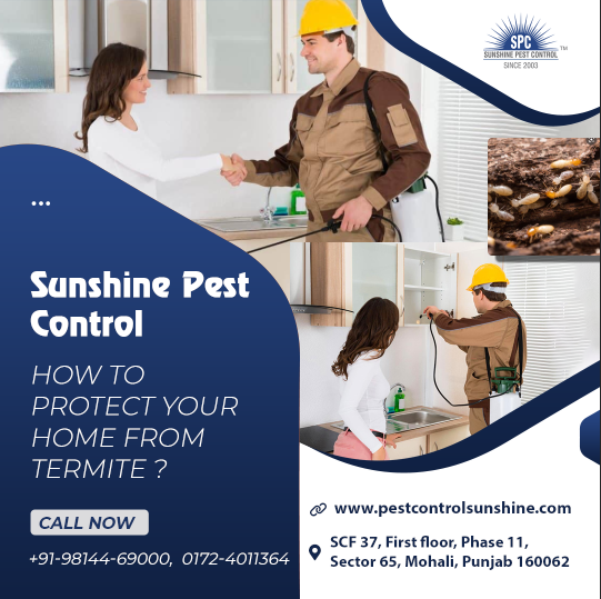 How to protect your home from Termites? - Sunshine Pest Control(Mr ...