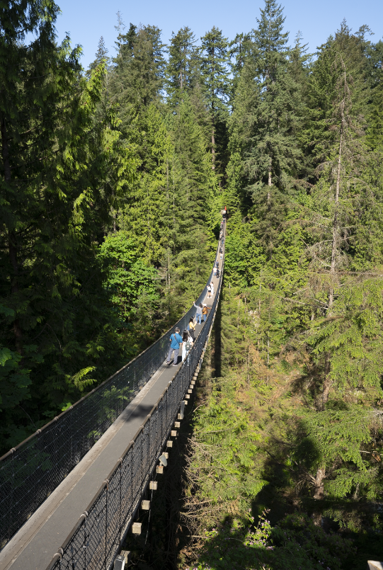 2023 Banff/Yoho/Jasper — Day 3 Vancouver - Wayne Lin - Medium