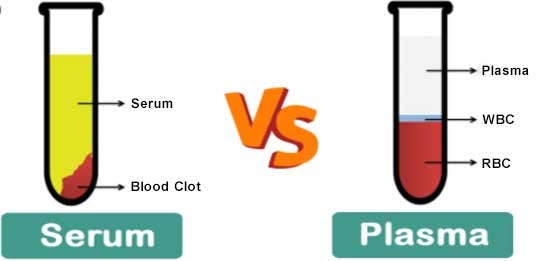 What is the difference between serum and plasma? | by Ephrona | Medium