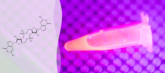 Cyclic-di-GMP Assay to Simplify Cellular Function Analysis | by Amerigo ...