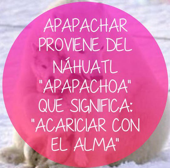 Apapachoa. Apapachar.- Proviene del Náhuatl… | by Suu | Medium