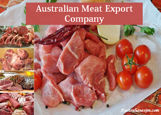 Australian Meat Export Company. In this presentation, we have described ...