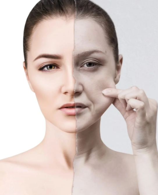 Correct anti-aging ideas. 1. Intrinsic aging | by Guoany | Jul, 2023 ...