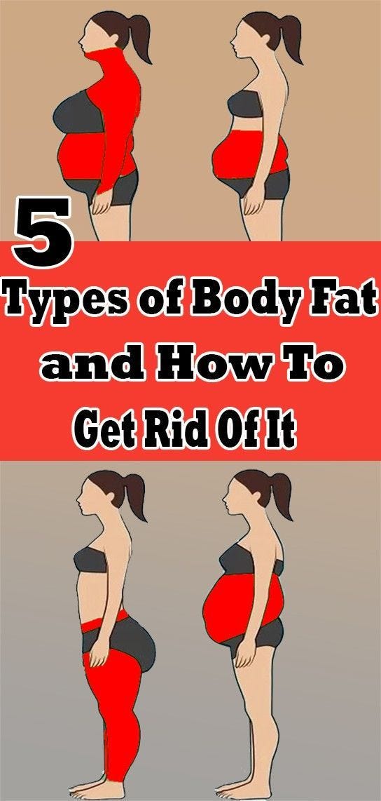 5 types of body fat and how to get rid of it - Estel england - Medium