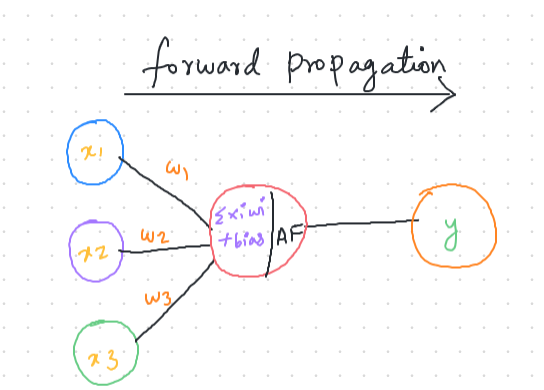 Forward And Backward Propagation Keyword Take Away From This Blog By Jayasurya Medium