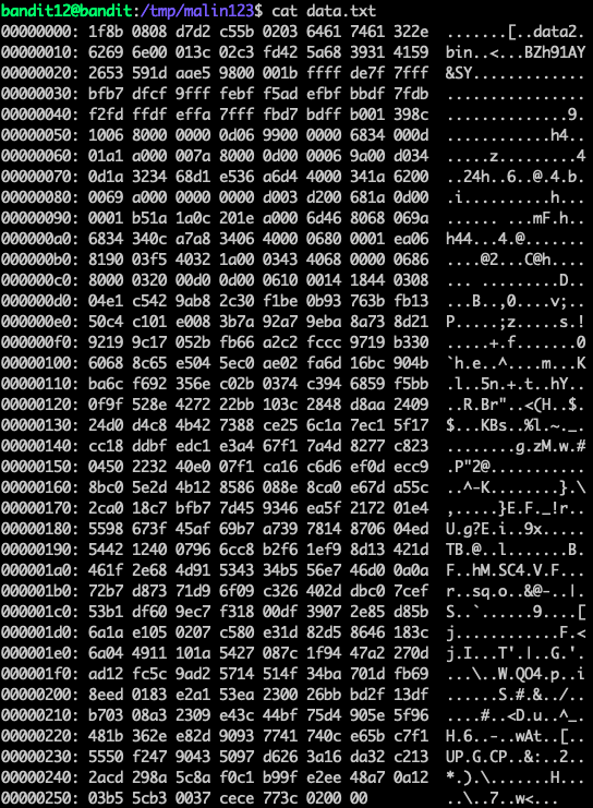 Play with wargame — Bandit 11–20. Perhaps I shouldn’t waste time to ...