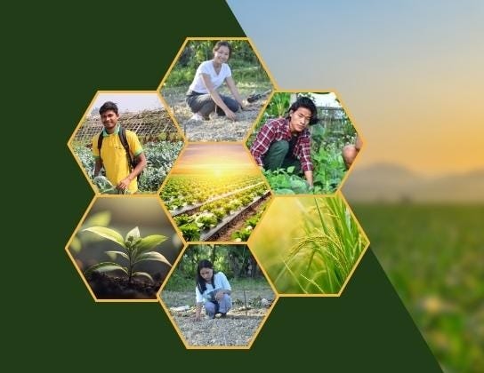 Premier Horticulture College in Arunachal Pradesh | by Arunachal ...