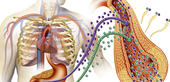 Diabetes: 3P 3D and pre-diabetes. Diabetes is a very common… | by ...
